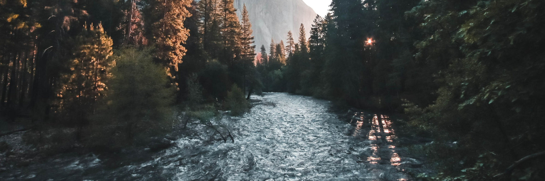 Exploring Freshwater Salmon Fishing in British Columbia: A Bounty of O ...