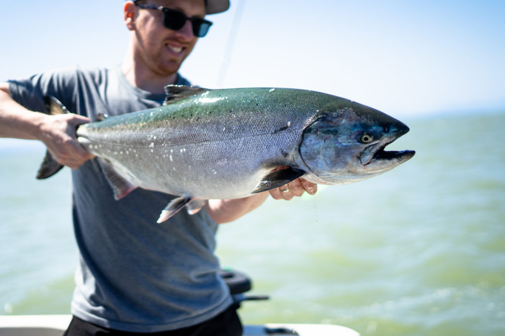 Targeting Staging Salmon at the Fraser River Mouth: Gear, Tactics, and ...