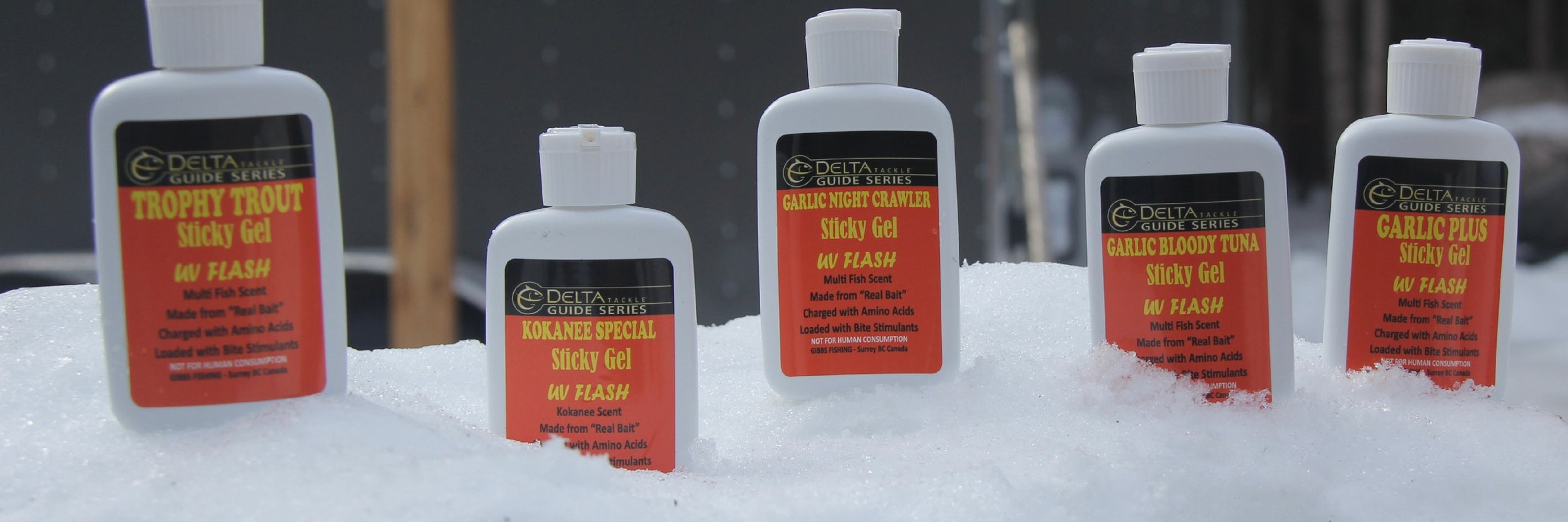 What Do Fish Smell? The Science of Fishing with Scents — Gibbs Fishing