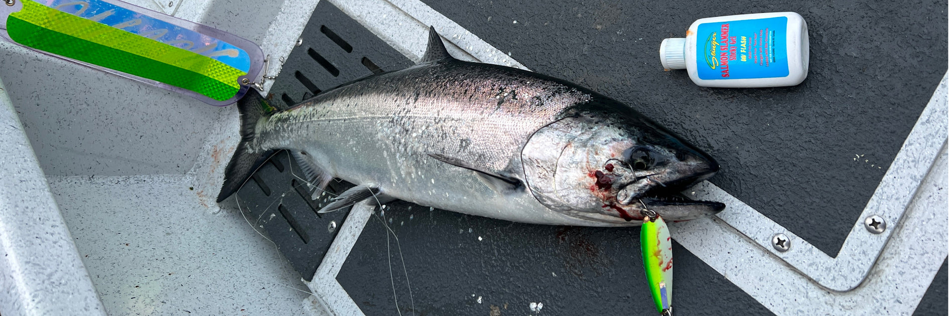 Enhancing Your Salmon Fishing Success: The Power of Scents and Adaptab ...