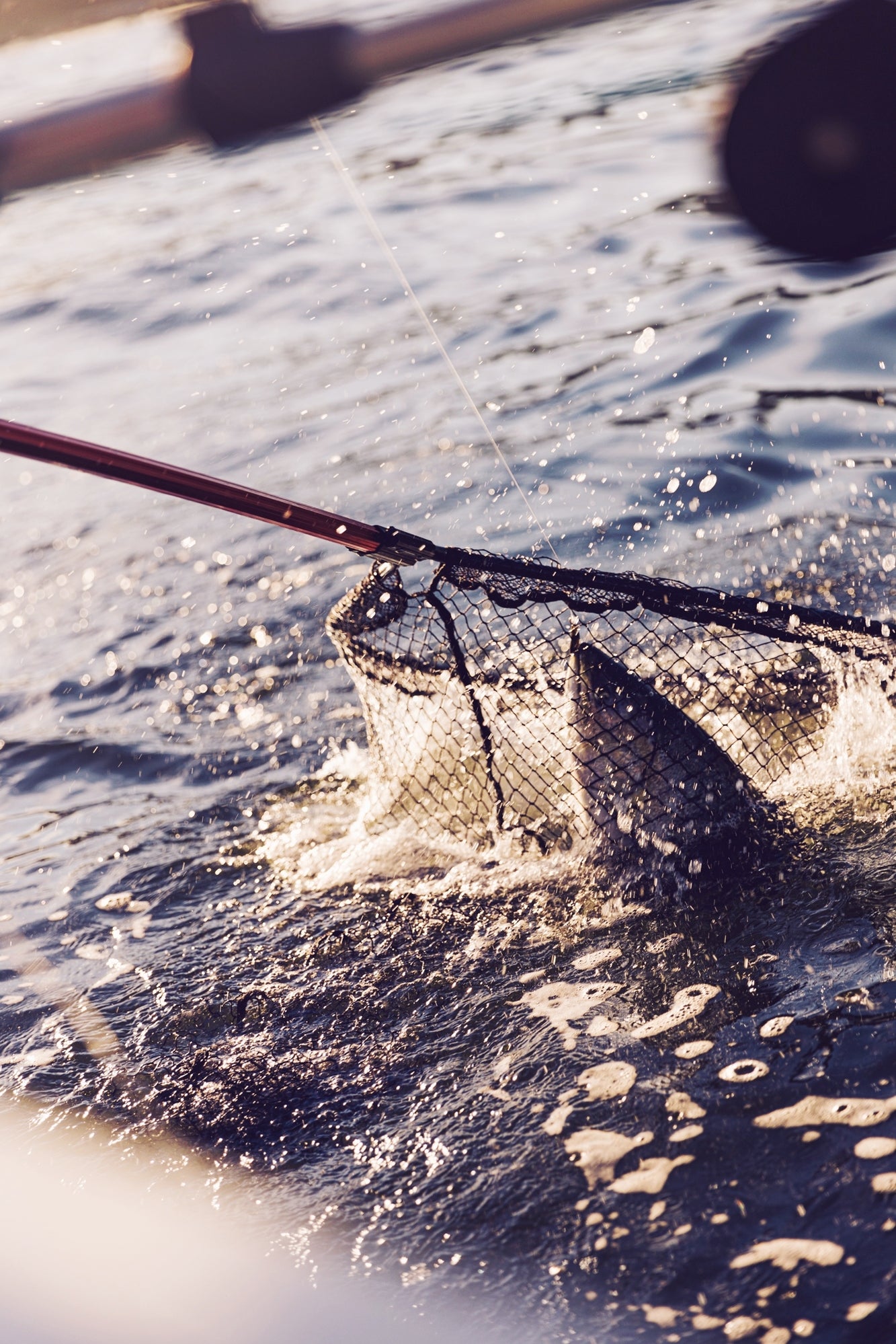 Gibbs Fishing – We Fish Here